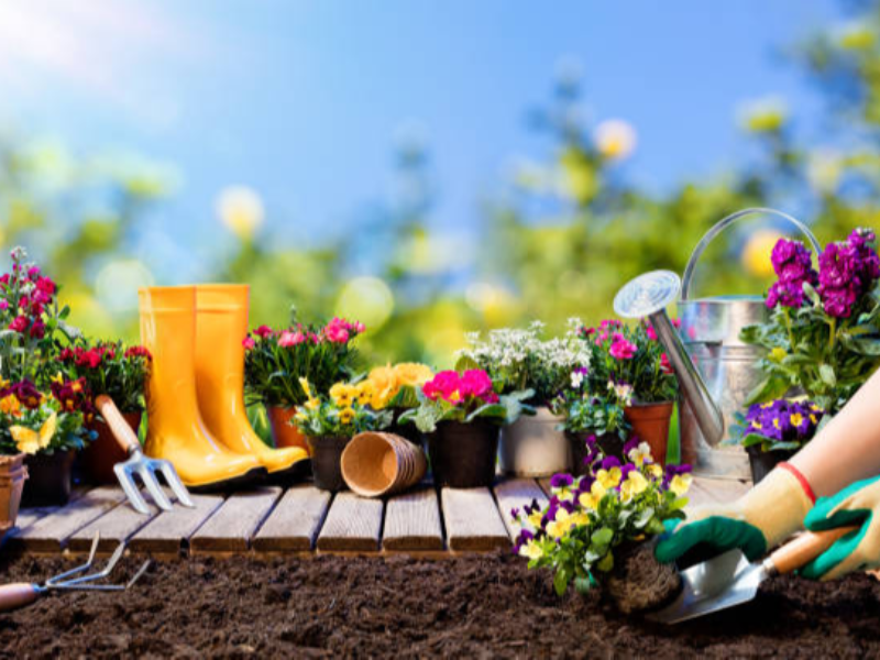 Corsi giardinaggio gratis 2026